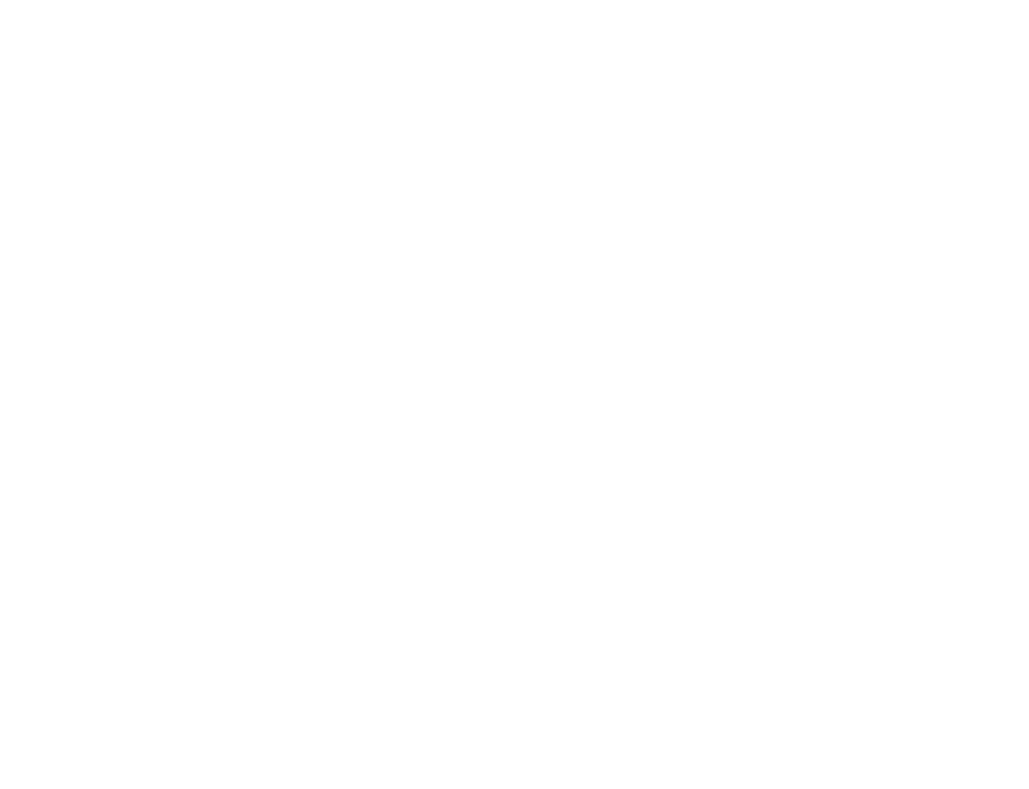 Business Incentive Performance Solutions - JNR Incorporated